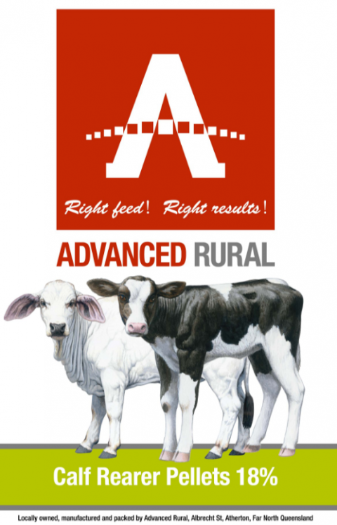 Beef Cattle | Advanced Rural
